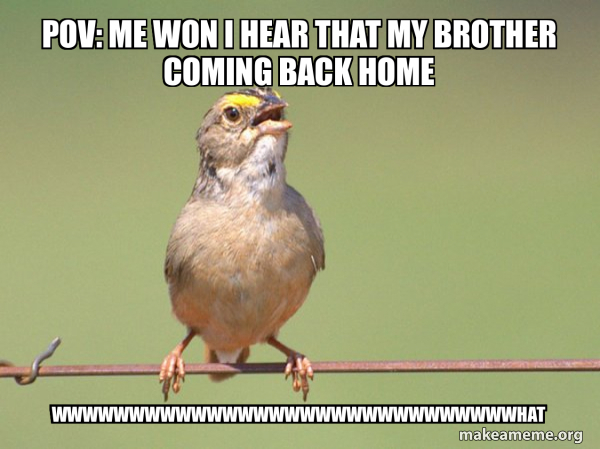 POV: Me won I hear that my brother coming back home ...