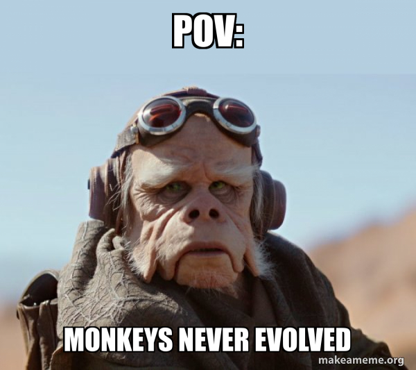 POV: monkeys never evolved - The Mandalorian - I Have Spoken Meme Generator