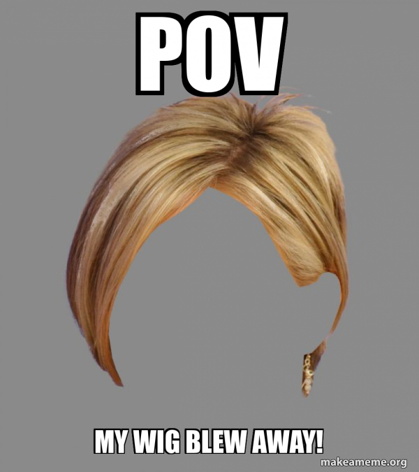 POV MY WIG BLEW AWAY! - The Karen Hair Meme Generator