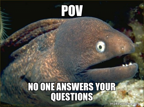 Pov No one answers your questions - Bad Joke Eel Meme Generator