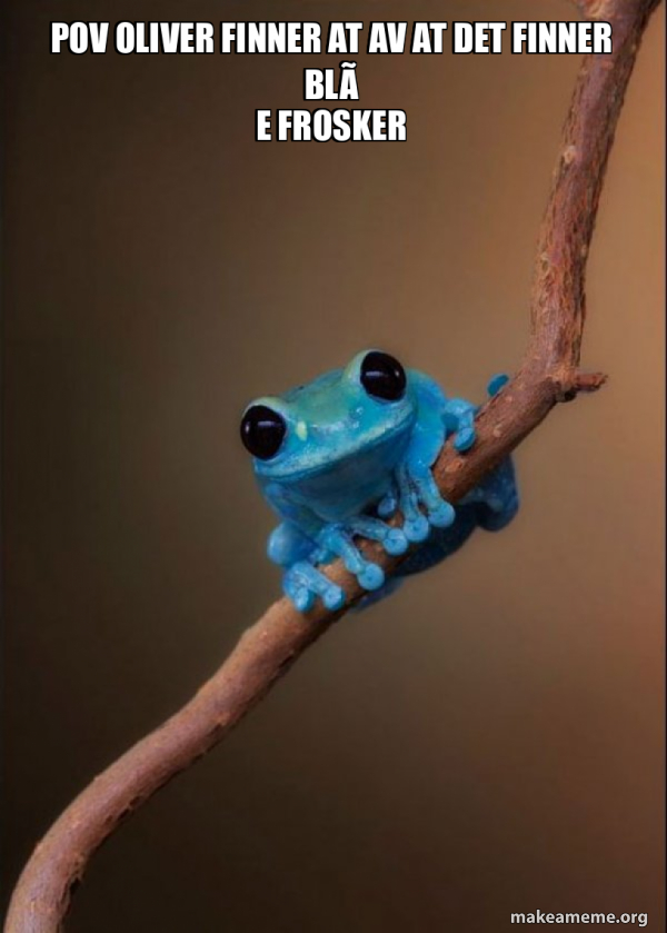 pov oliver finner at av at det finner blåe frosker - Small Fact Frog ...