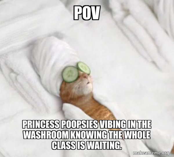 POV Princess poopsies vibing in the washroom knowing the whole class is ...