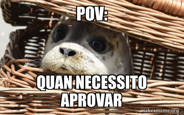 pov: quan necessito aprovar - Impending Doom Seal Meme Generator