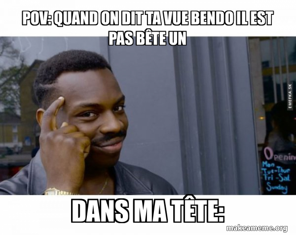 pov: quand on dit ta vue bendo il est pas bête un dans ma tête: - Roll ...
