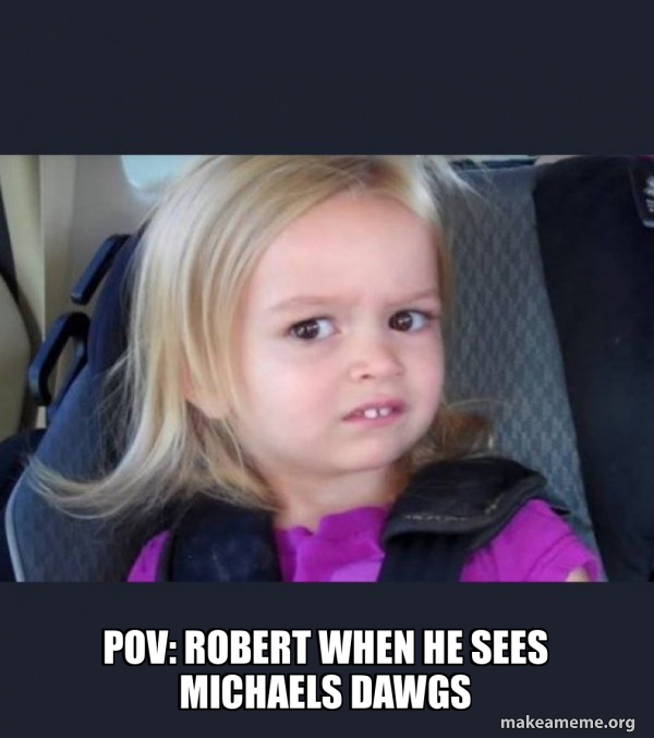 pov: robert when he sees michaels dawgs - Side-Eyes Chloe Meme Generator