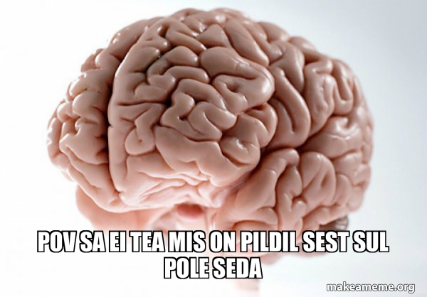 POV sa ei tea mis on pildil sest sul pole seda - Scumbag Brain Meme ...