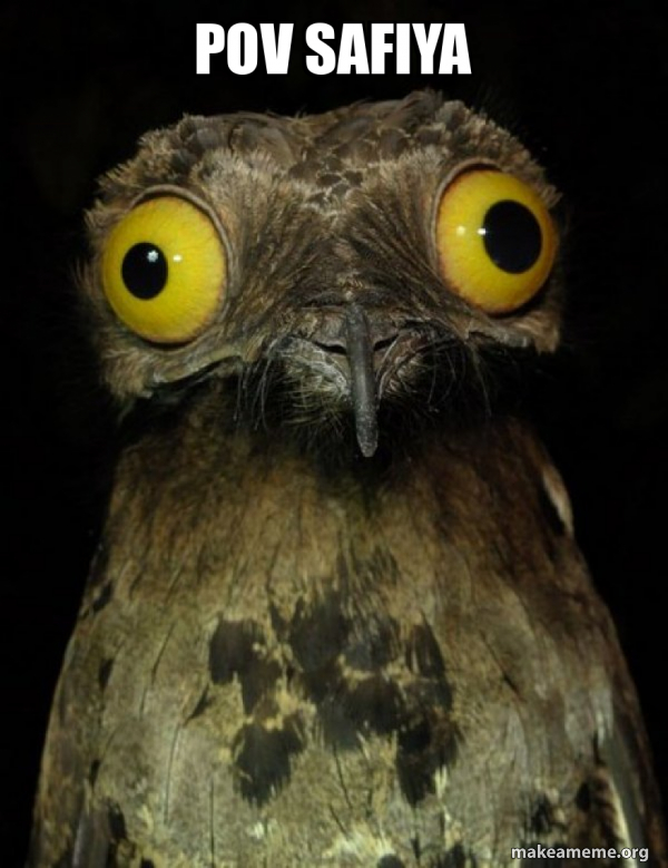pov safiya - Weird Stuff I do Potoo Meme Generator