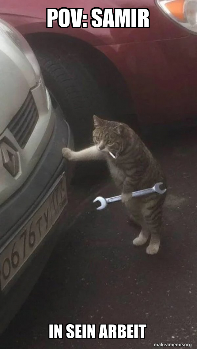 POV: Samir In sein Arbeit - Mechanic Cat Meme Generator