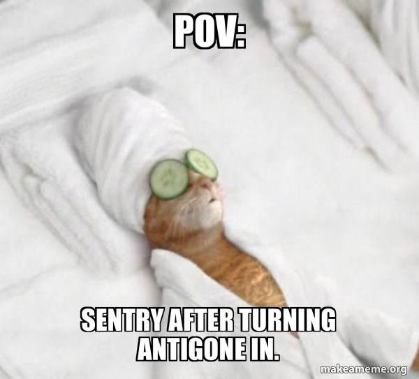 POV: Sentry after turning Antigone in. - Pampered Cat Meme Meme Generator