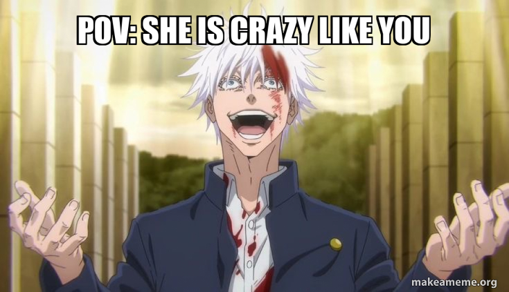 POV: SHE IS crazy like you Meme Generator