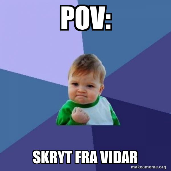 POV: Skryt fra Vidar - Success Kid | Make a Meme