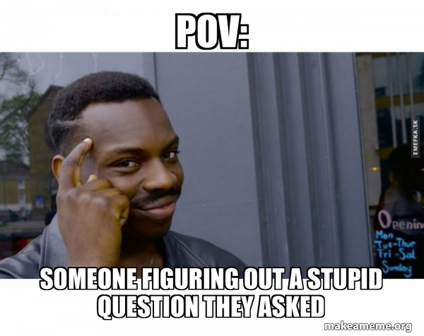 Pov: Someone figuring out a stupid question they asked - Roll Safe ...