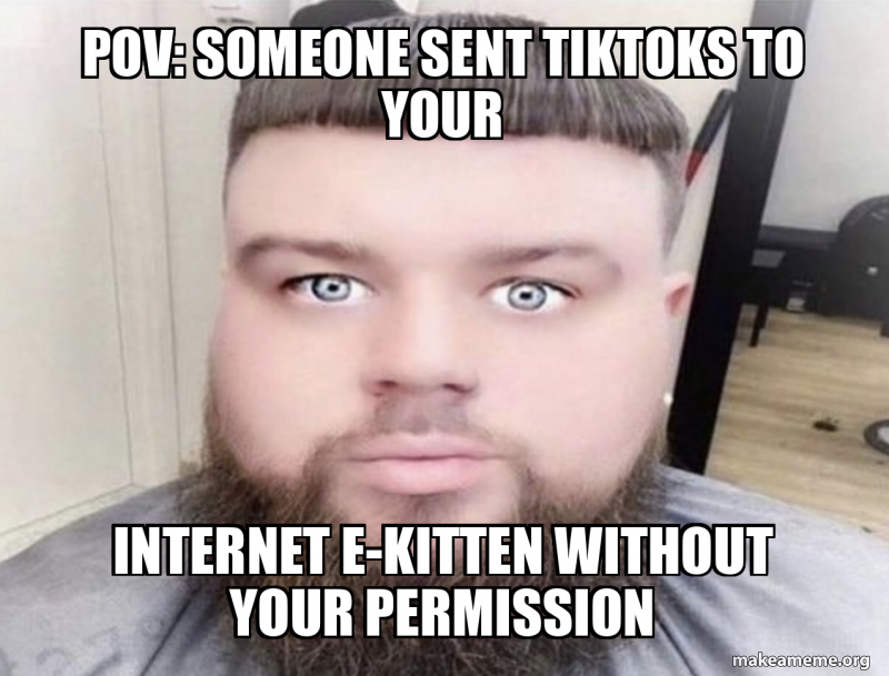 Pov: Someone sent tiktoks to your internet e-kitten without your ...