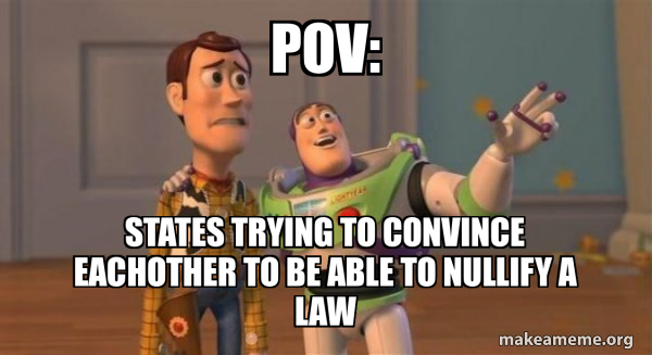 POV: states trying to convince eachother to be able to nullify a law ...