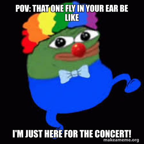 POV: That one Fly in your ear be like I'm just here for the concert ...