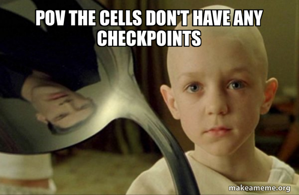 pov the cells don't have any checkpoints - There is no Spoon Meme Generator