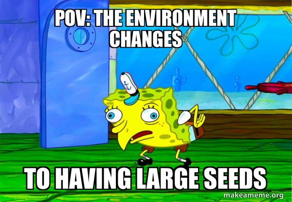 POV: The environment changes to having large seeds - Mocking SpongeBob ...