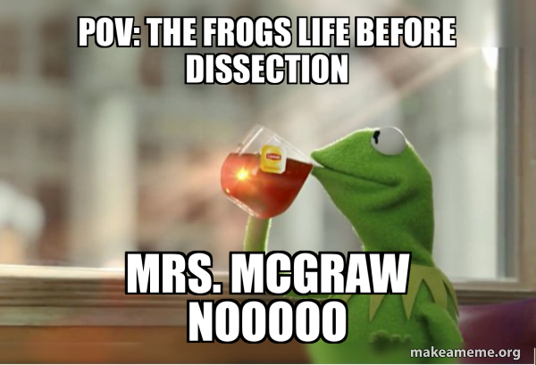 Pov: The frogs life before dissection Mrs. Mcgraw nooooo - Kermit ...