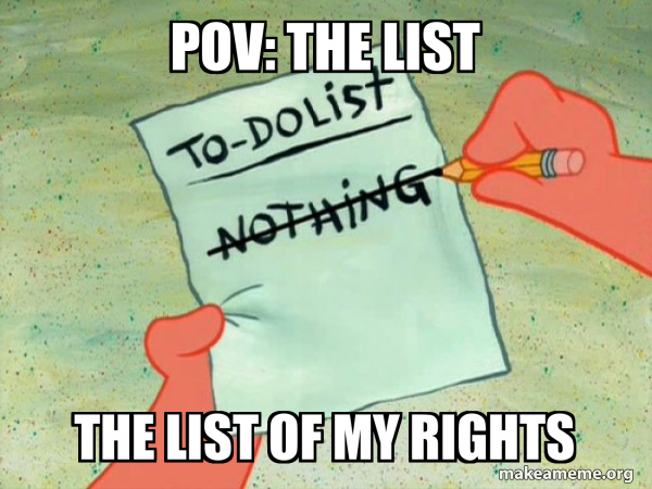 POV: the list the list of my rights - TO-DO List Meme Generator