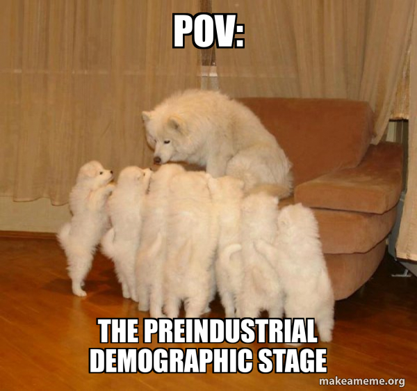 POV: The preindustrial demographic stage - Storytelling Dog Meme Generator