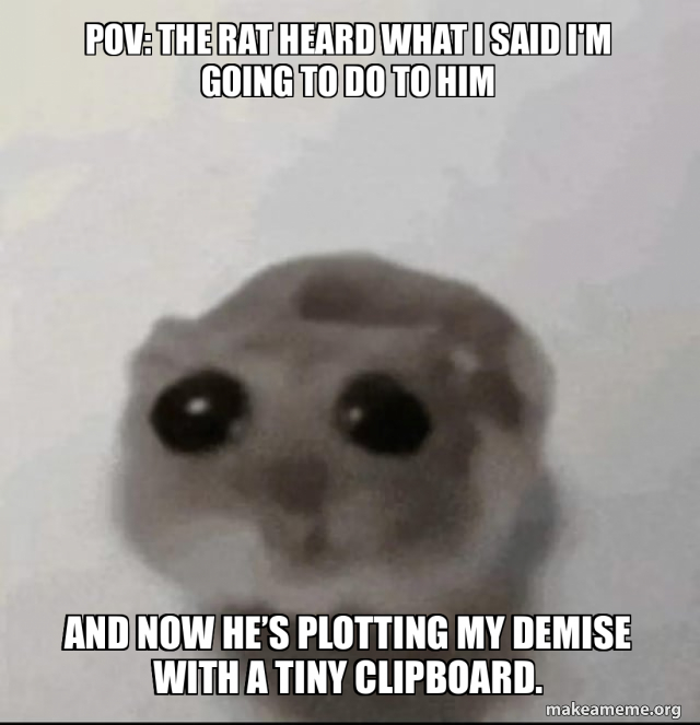 POV: the rat heard what I said I'm going to do to him And now he’s ...