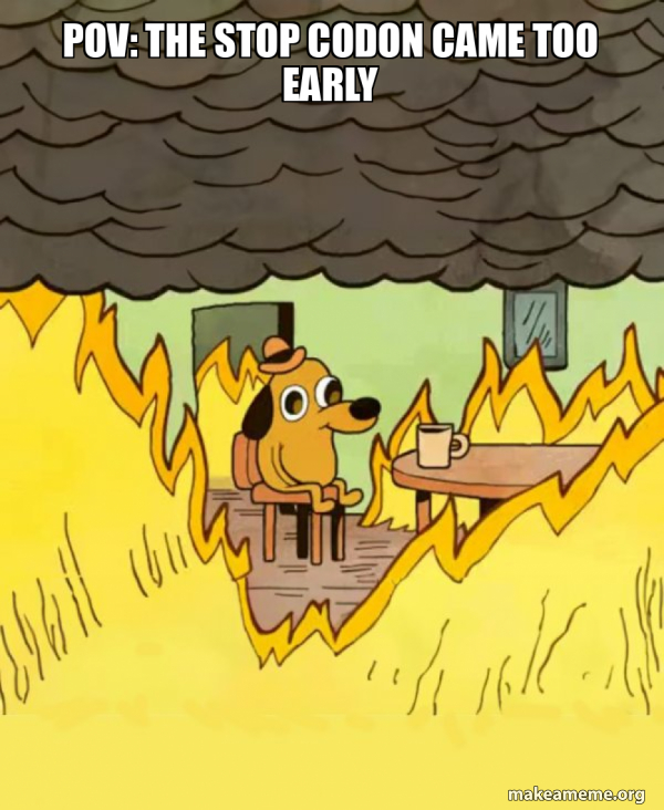POV: The stop codon came too early - This Is Fine Meme Generator