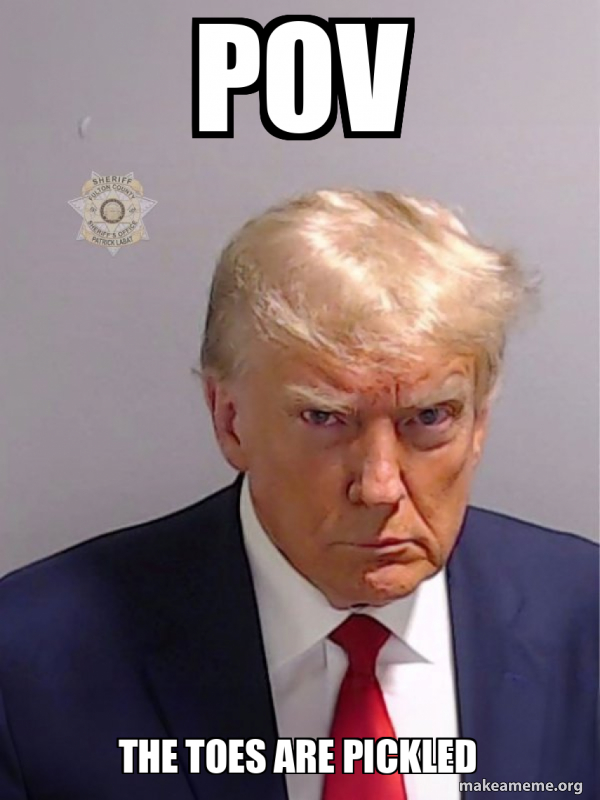 POV The toes are pickled - Donald Trump Mugshot Meme Generator