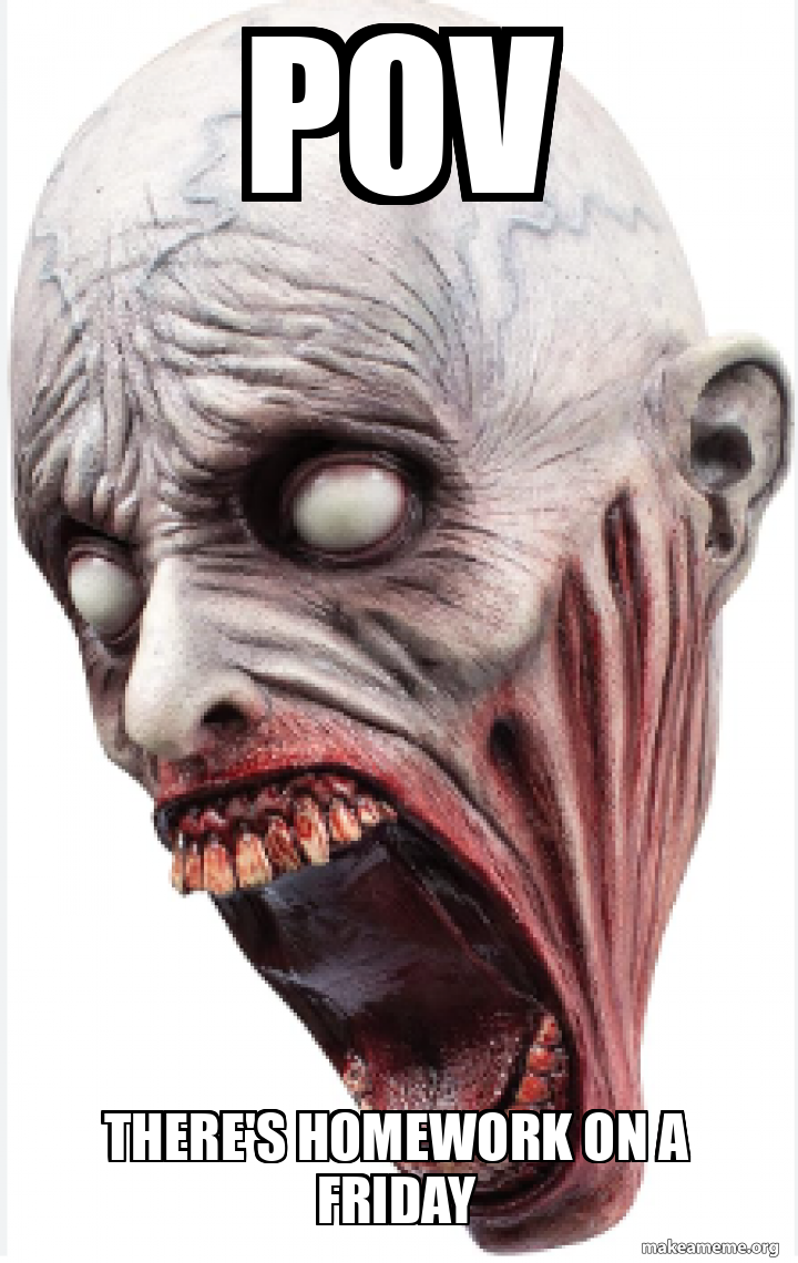 Pov There's homework on a Friday Meme Generator