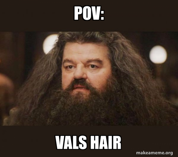 Pov: Vals hair - Hagrid - I should not have said that Meme Generator