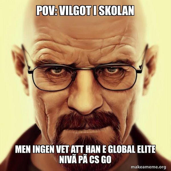 pov: vilgot i skolan men ingen vet att han e global elite nivå på cs go ...