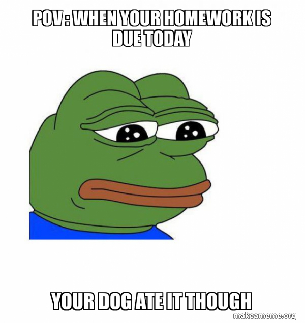 POV : When your homework is due today Your dog ate it though - Feels ...