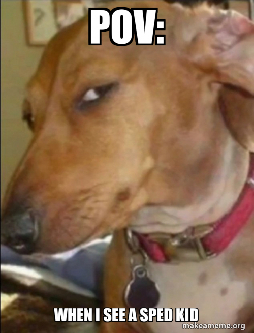 pov: WHEN I SEE A SPED KID Meme Generator