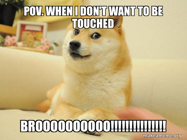 POV. when I don't want to be touched BROOOOOOOOOO!!!!!!!!!!!!!!! - Doge ...
