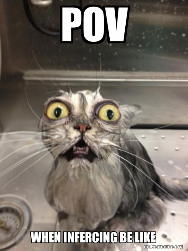 pov when infercing be like - Cat bath Meme Generator