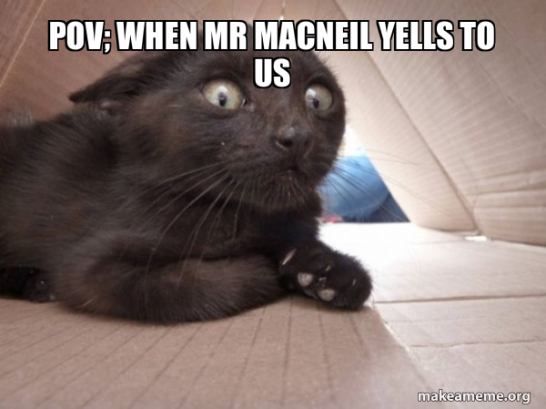 POV; when mr MacNeil yells to us - Schitzo Cat Meme Generator