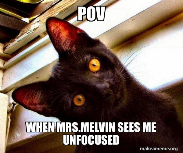 pov When Mrs.Melvin sees me unfocused - Overly Attached Cat Meme Generator