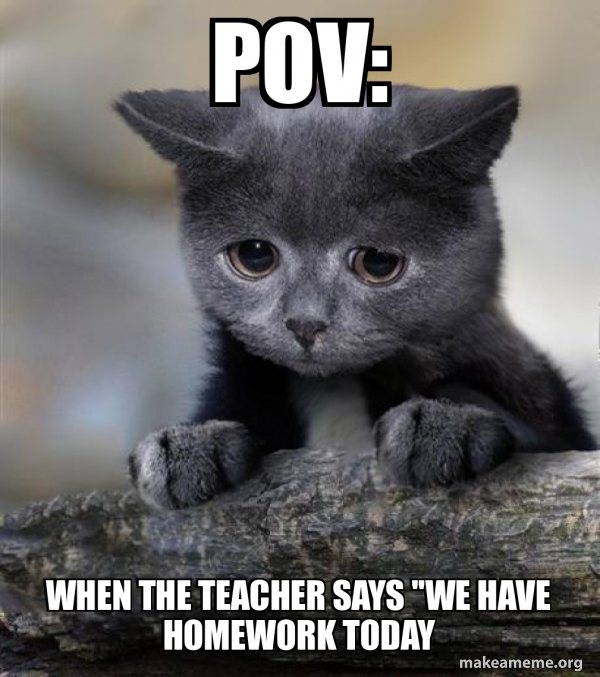 POV: When the teacher says ''We have homework today - Confession Cat ...