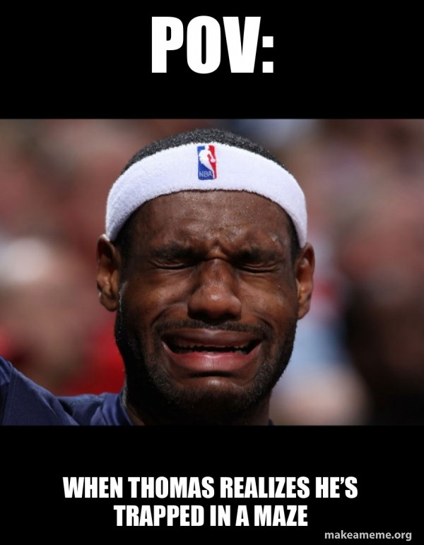 POV: When Thomas realizes he’s trapped in a maze - Lebron Crying Meme ...