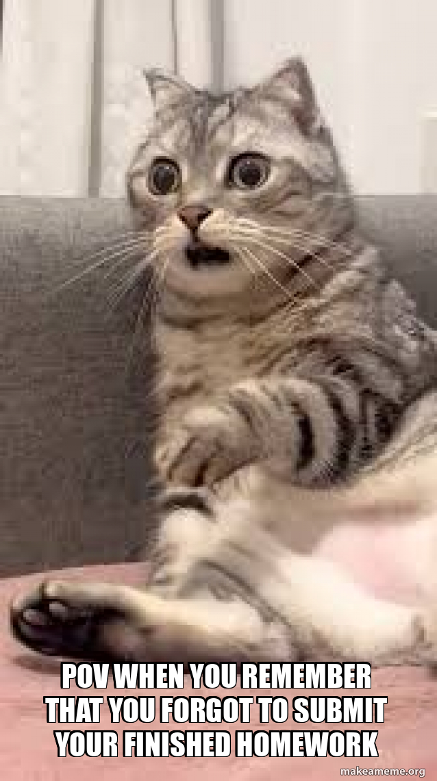 Pov when you remember that you forgot to submit your finished homework ...