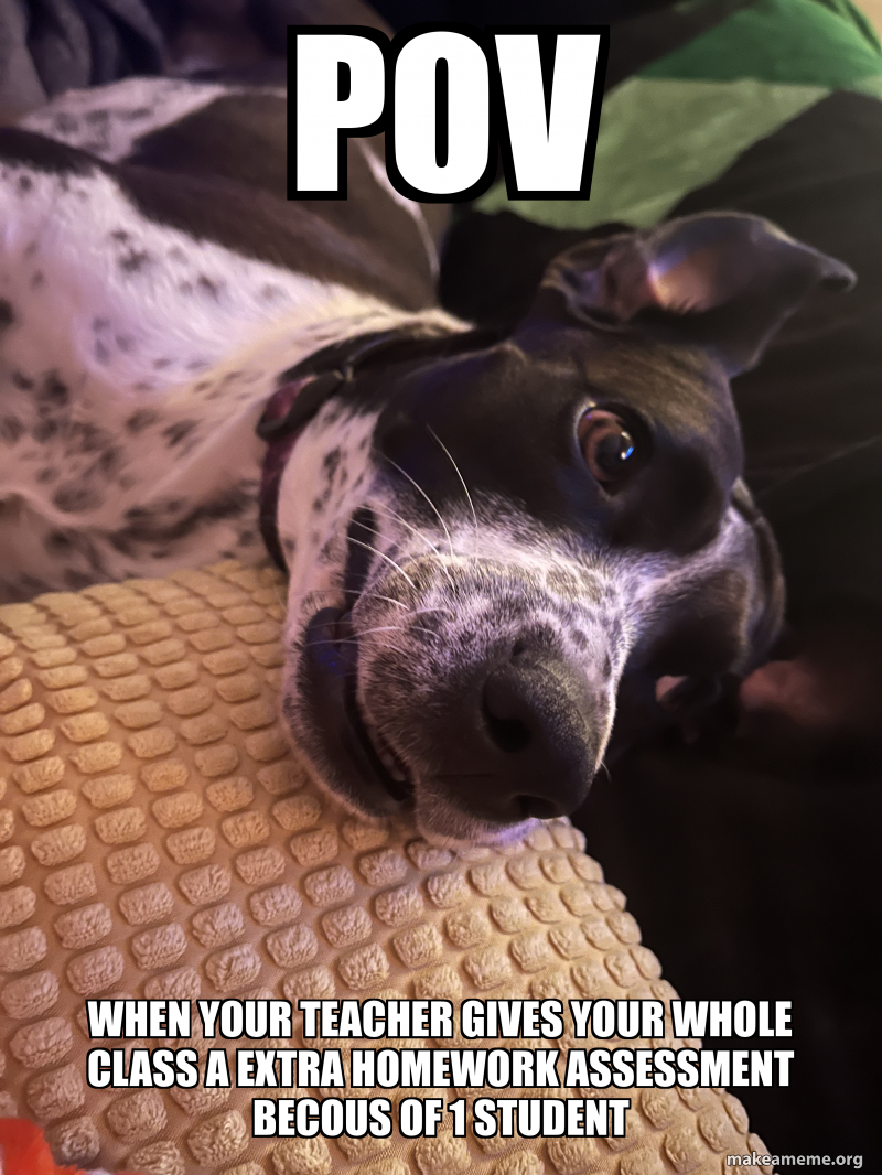 Pov When your teacher gives your whole class a extra homework ...