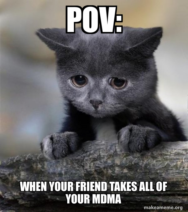 Pov: When your friend takes all of your MDMA - Confession Cat Meme ...