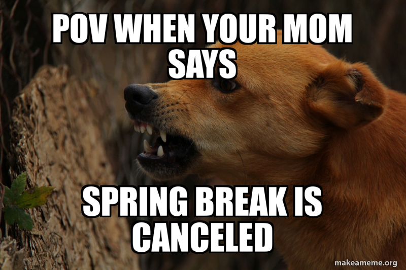 Pov when your mom says spring break is canceled Meme Generator