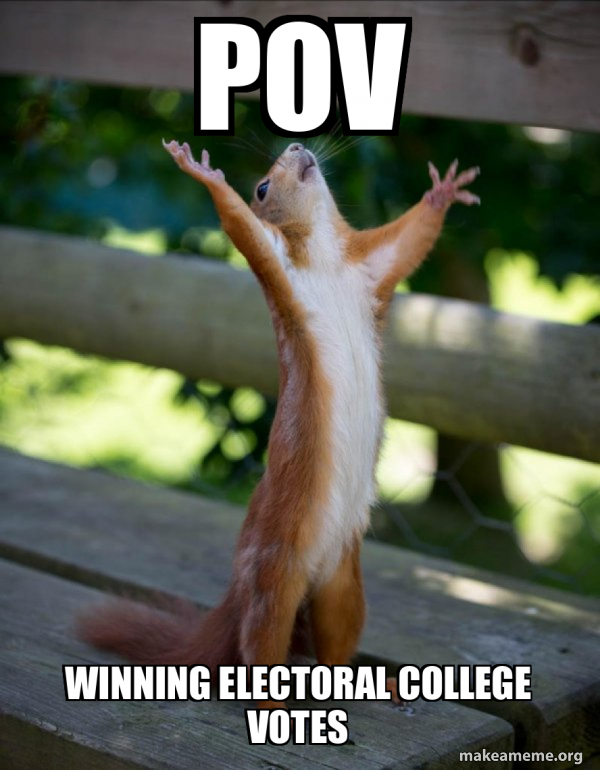 POV Winning Electoral College Votes - Happy Squirrel Meme Generator