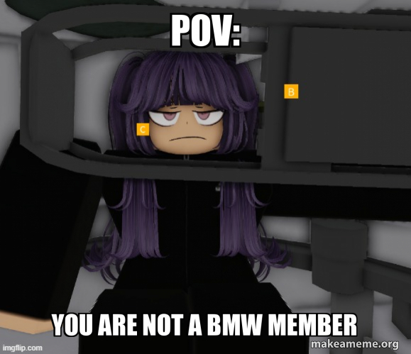 pov: you are not a bmw member Meme Generator