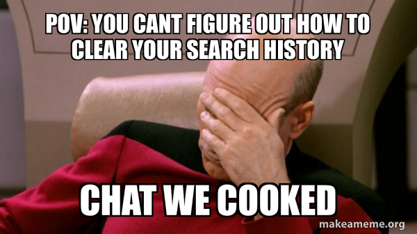 pov: You cant figure out how to clear your search history Chat we ...