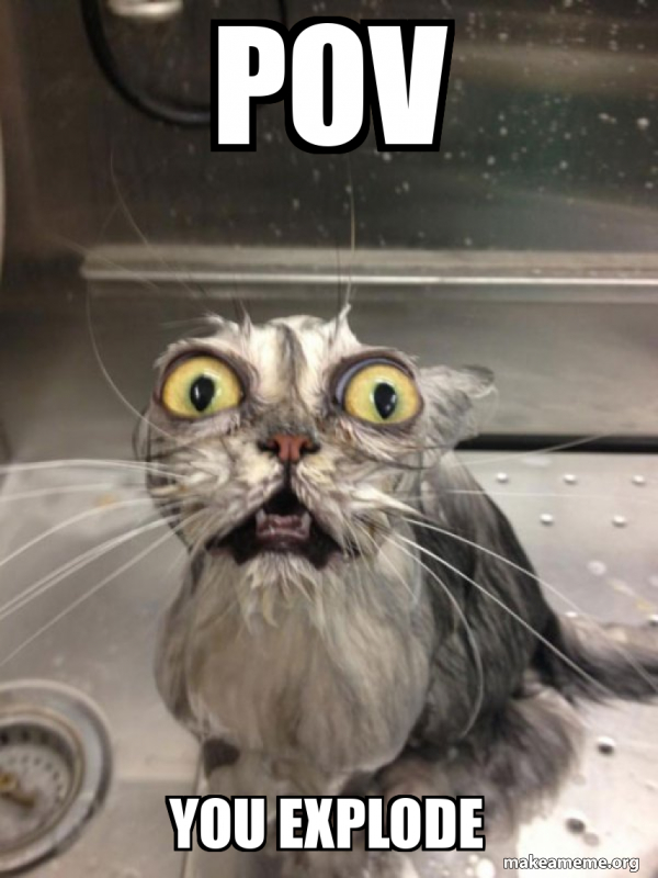 POV You Explode - Cat bath Meme Generator