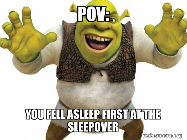 POV: You Fell Asleep First At The Sleepover - Shrek Meme Generator