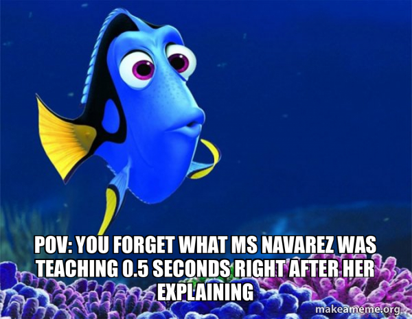 POV: you forget what Ms Navarez was teaching 0.5 seconds right after ...