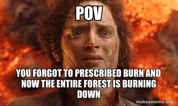 POV You forgot to prescribed burn and now the entire forest is burning ...