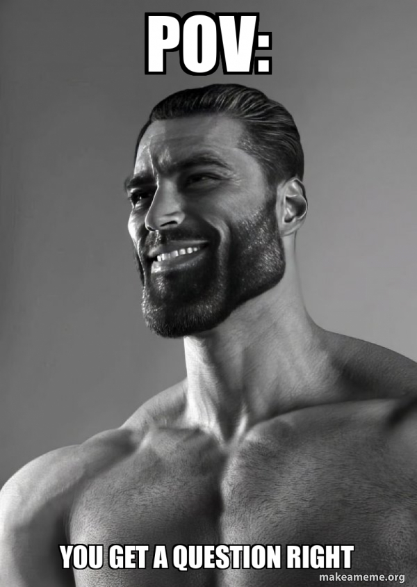 POV: you get a question right - Gigachad Meme Generator